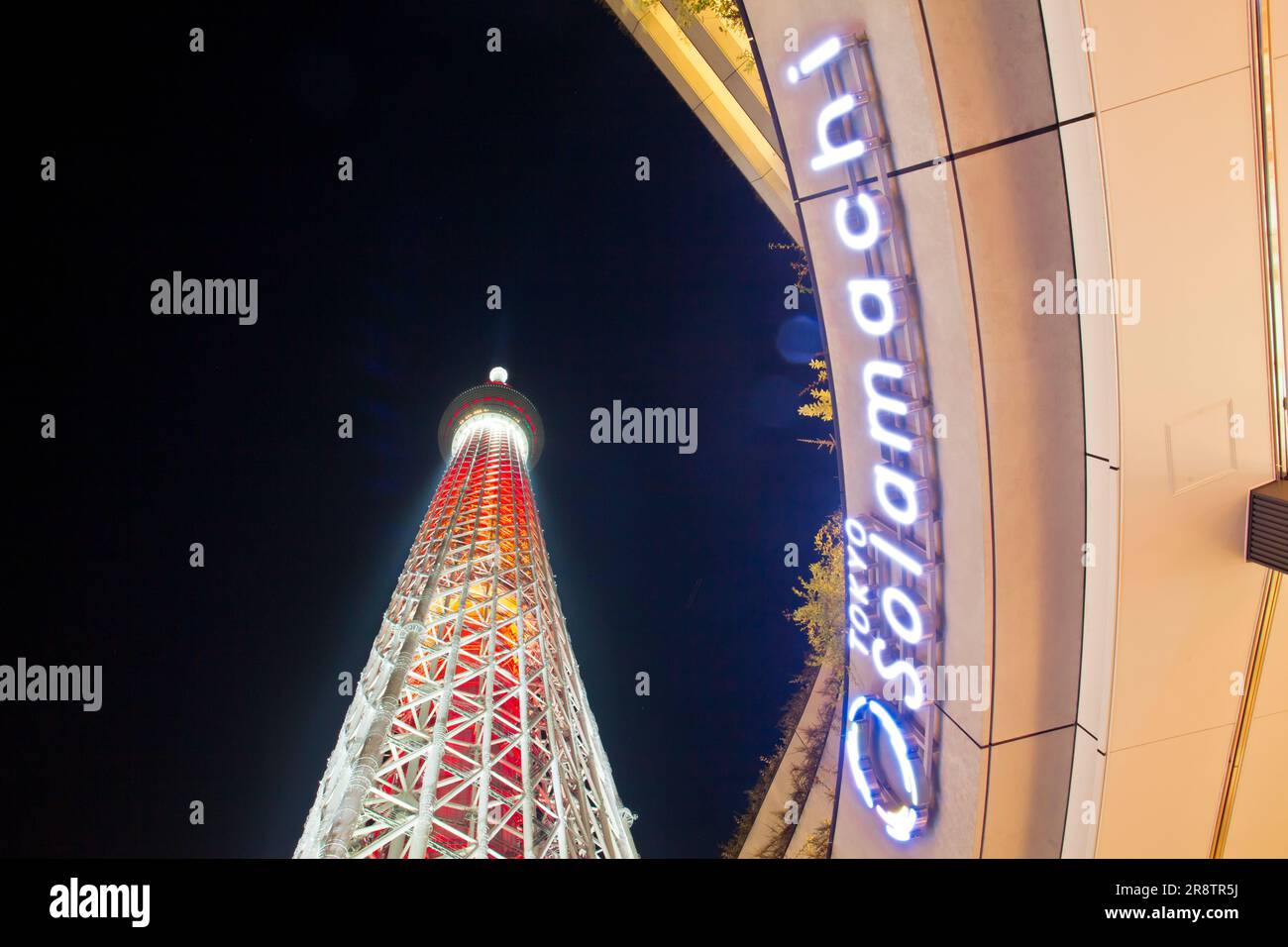 Tokyo Sky Tree (candle tree) looked up from the front of Tokyo ...