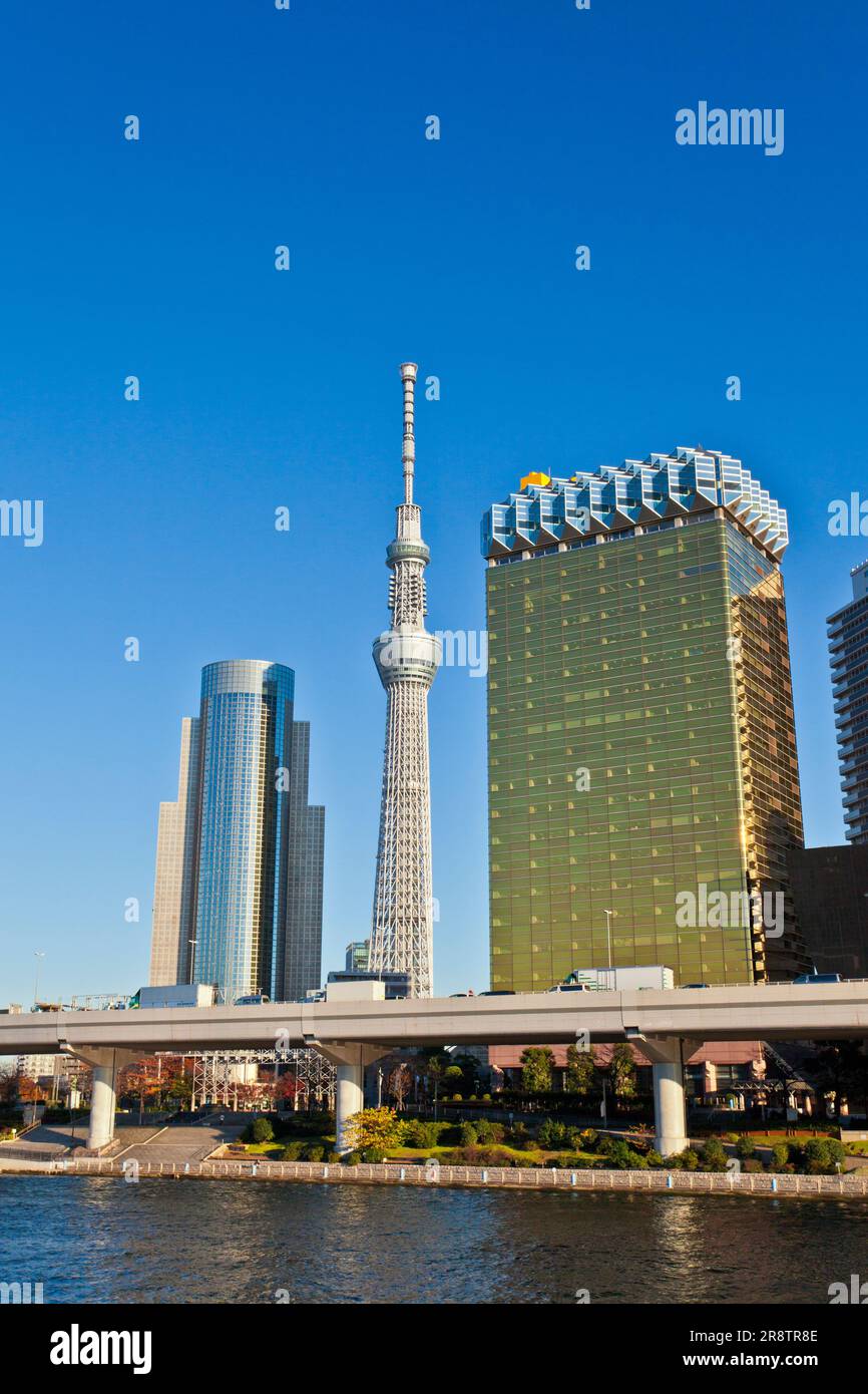 Tokyo Sky Tree and Asahi Beer Tower Stock Photo - Alamy