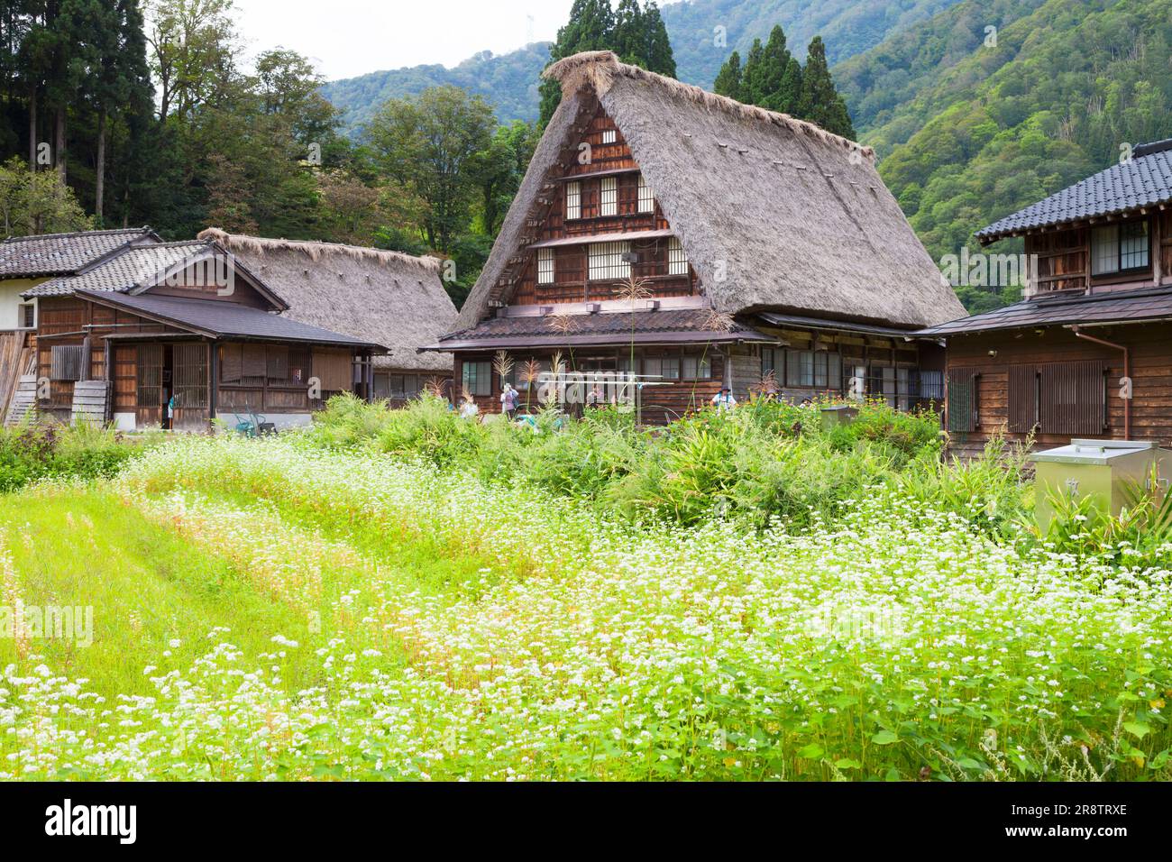 Gassho style buildings hi-res stock photography and images - Alamy