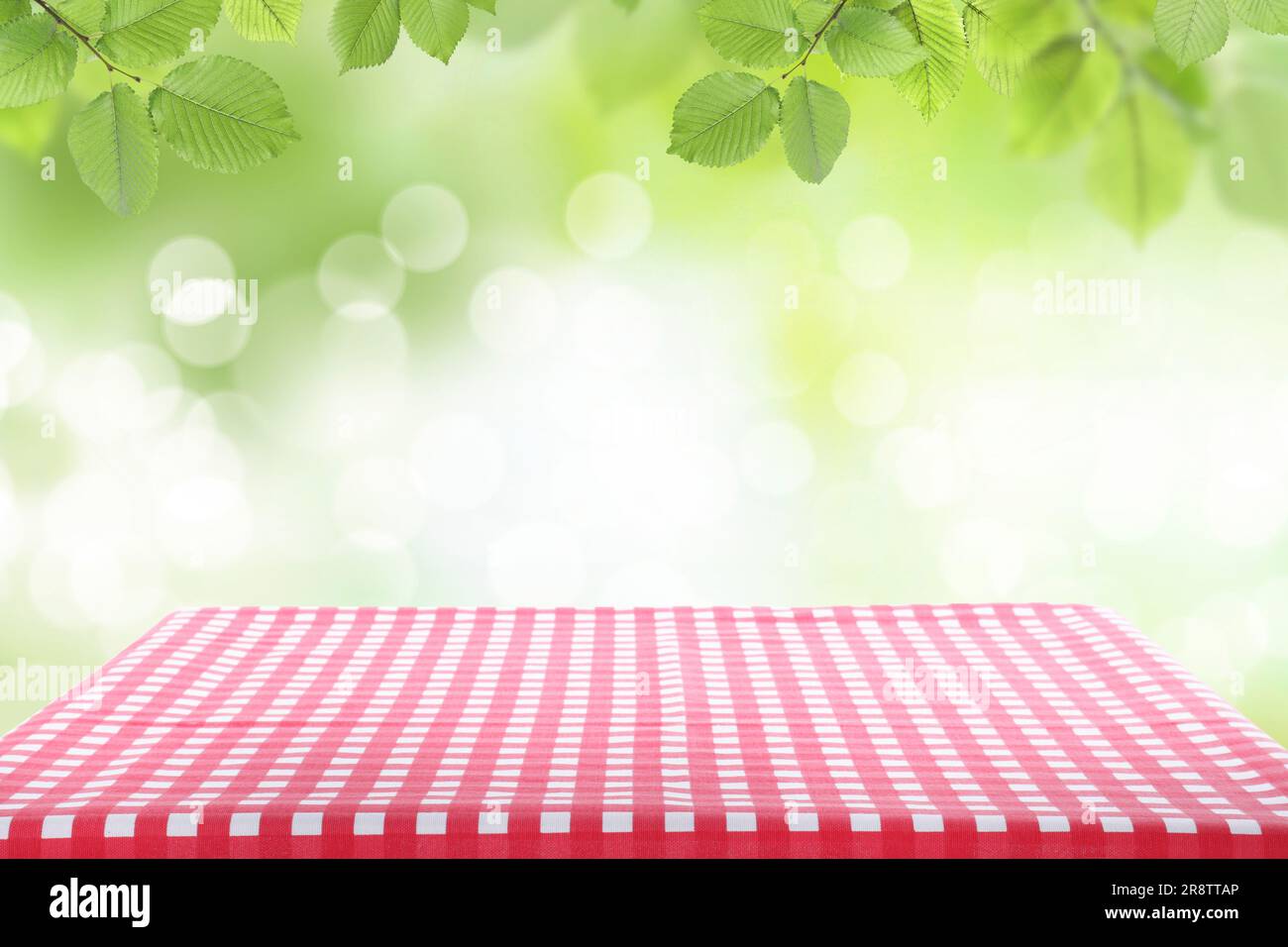 Red and white checkered tablecloth on table under branches with leaves ...