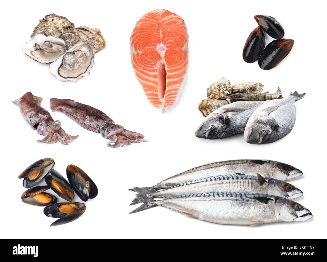 Collage with different seafood on white background Stock Photo - Alamy