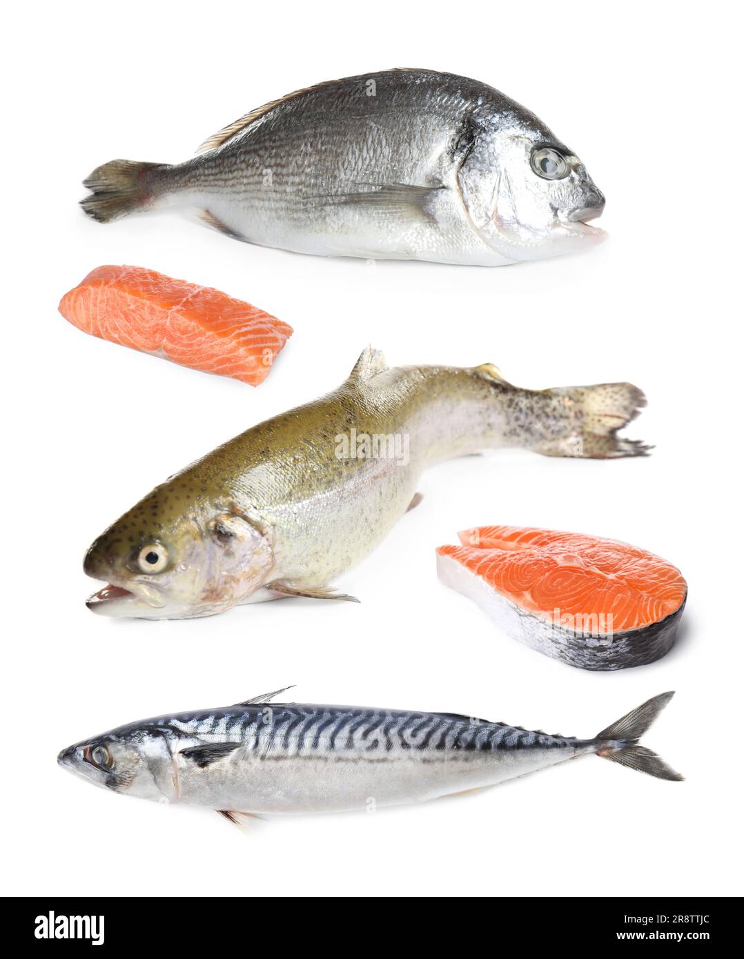 Collage with different types of raw fish on white background Stock ...