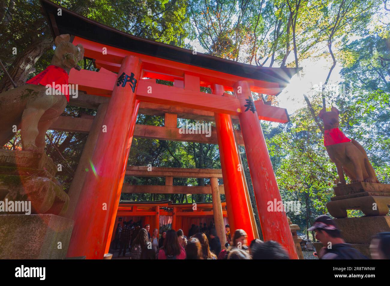 Torii Gate of Fushimi Inari Stock Photo - Alamy