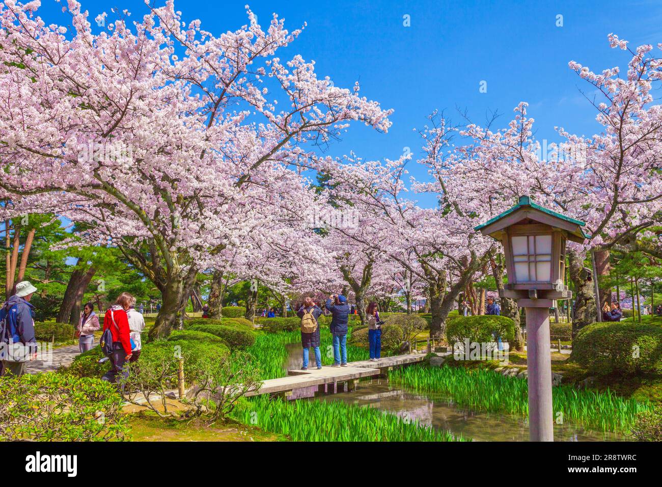 Garden paths pink hi-res stock photography and images - Alamy
