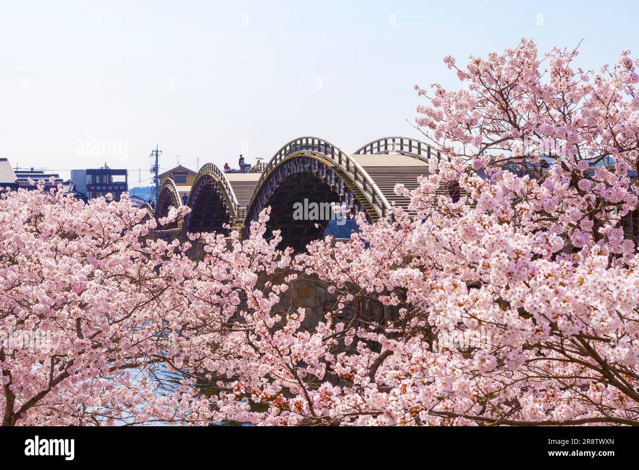 Pink bridges hi-res stock photography and images - Alamy
