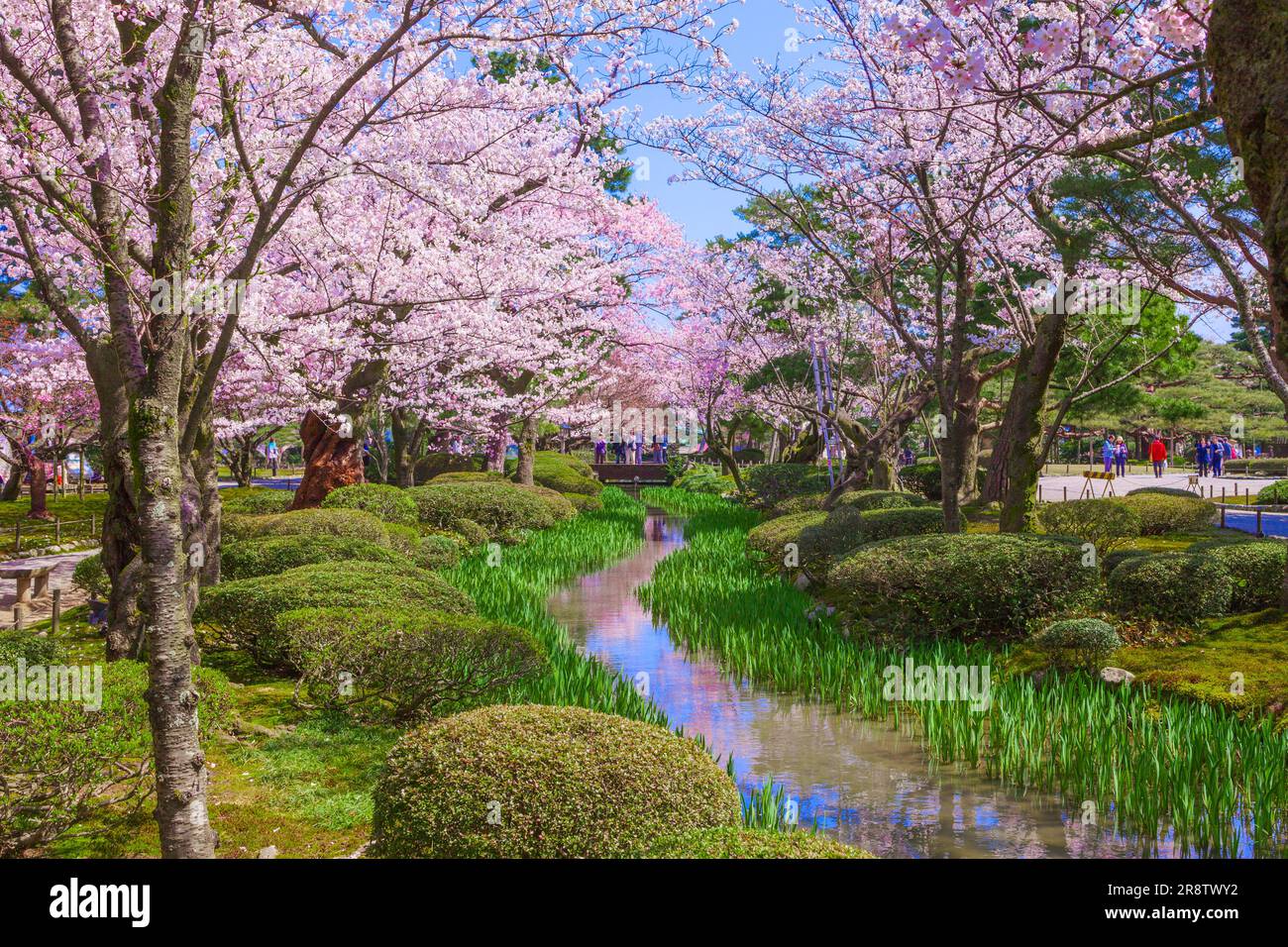 Circuit style garden hi-res stock photography and images - Alamy
