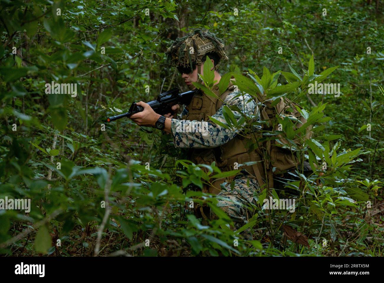 U.S. Navy Petty Officer 3rd Class Joshua Roland, a Rochester, New York ...