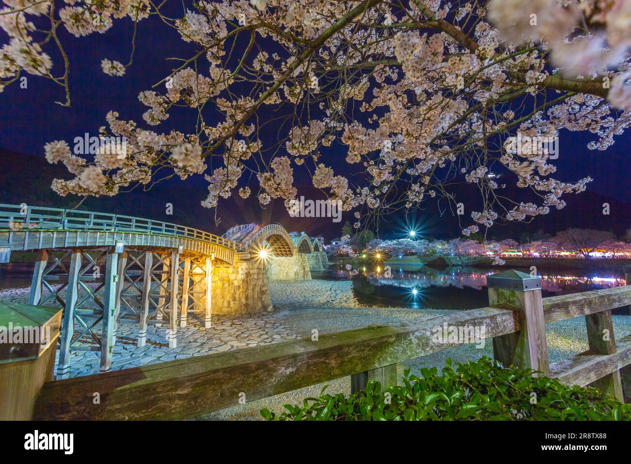 Kintai-bashi bridge and cherry blossoms at night Stock Photo - Alamy