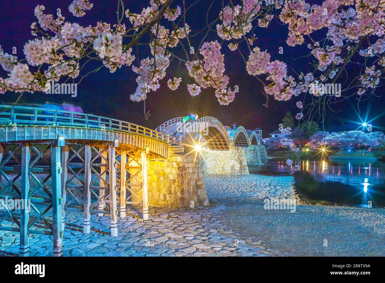 Kintai-bashi bridge and cherry blossoms at night Stock Photo - Alamy