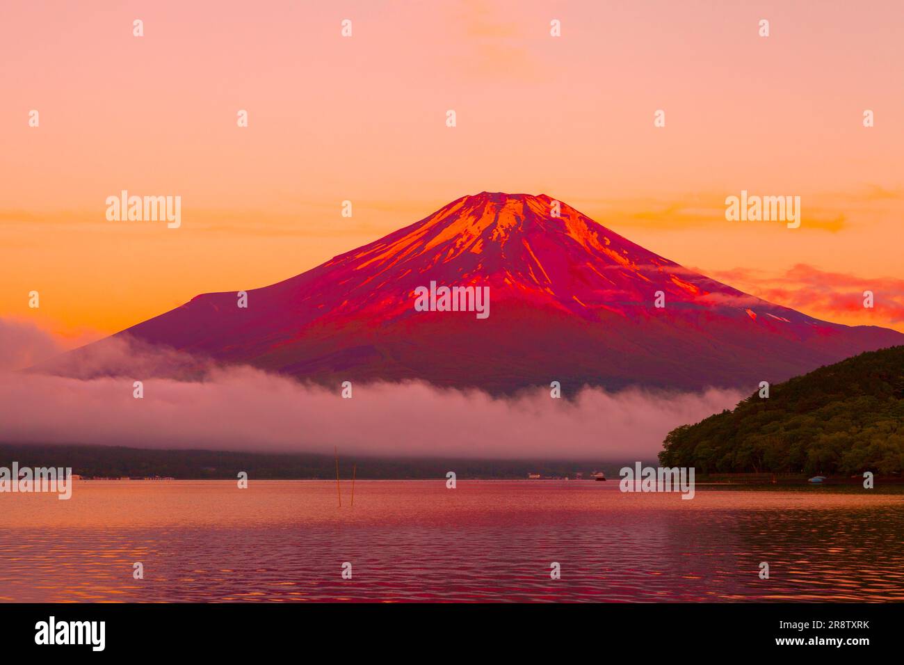Red Fuji seen from Yamanakako Stock Photo - Alamy