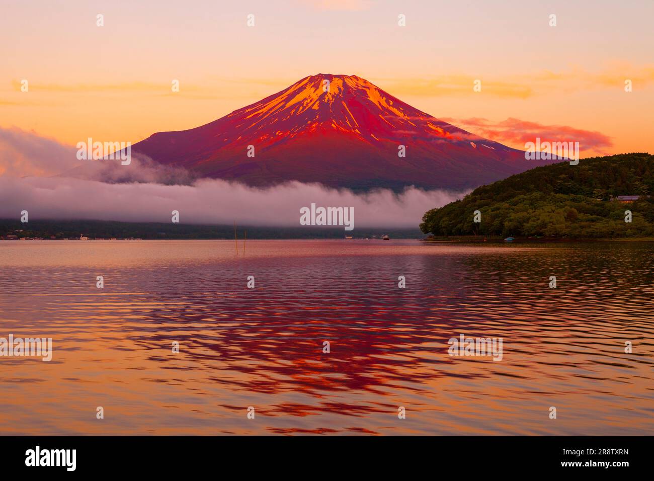 Red Fuji seen from Yamanakako Stock Photo - Alamy
