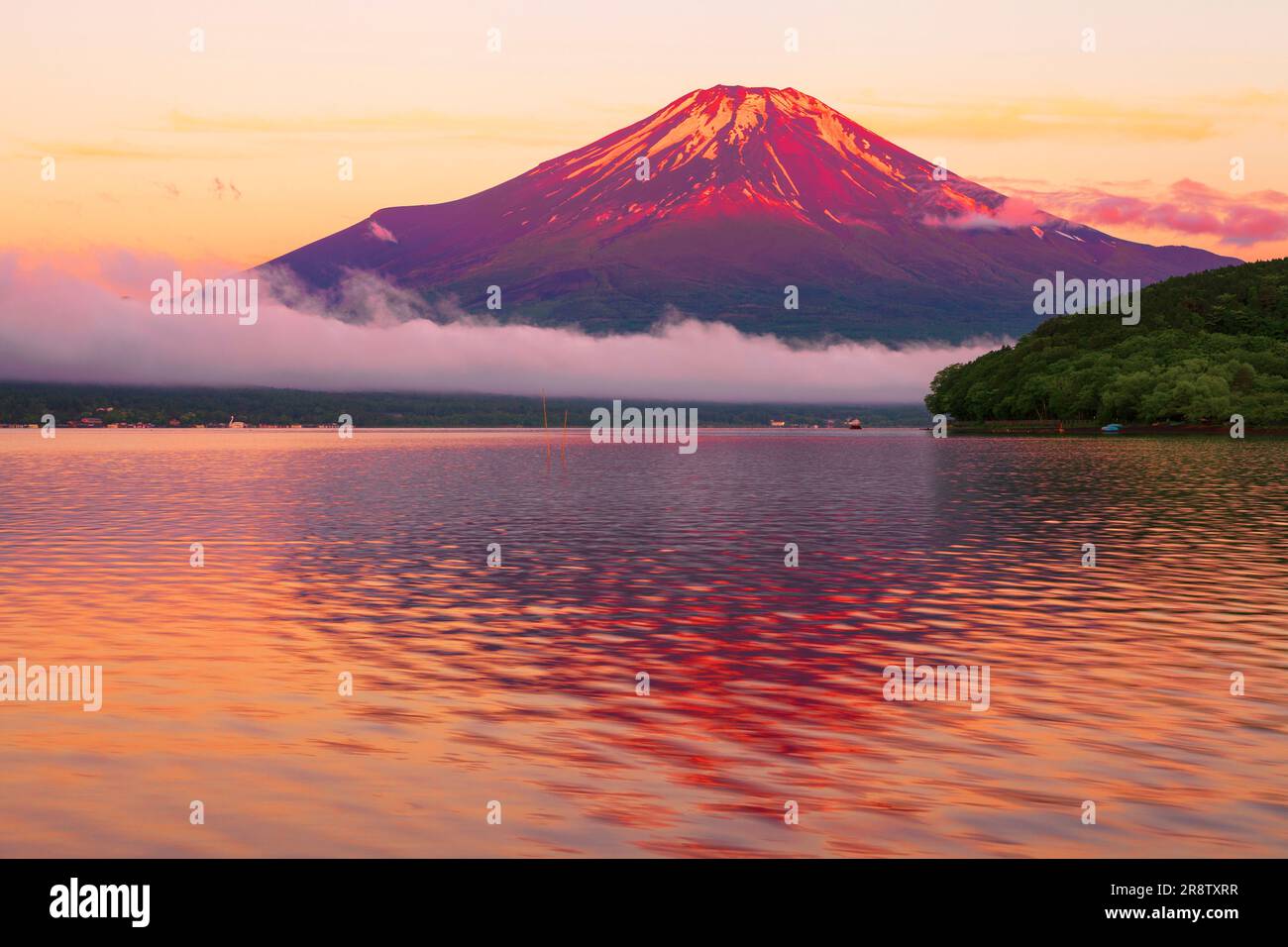 Red Fuji seen from Yamanakako Stock Photo - Alamy