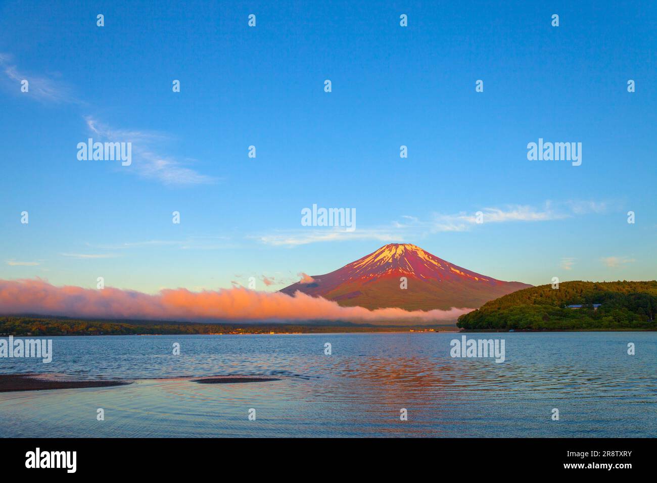 Red Fuji seen from Yamanakako Stock Photo - Alamy