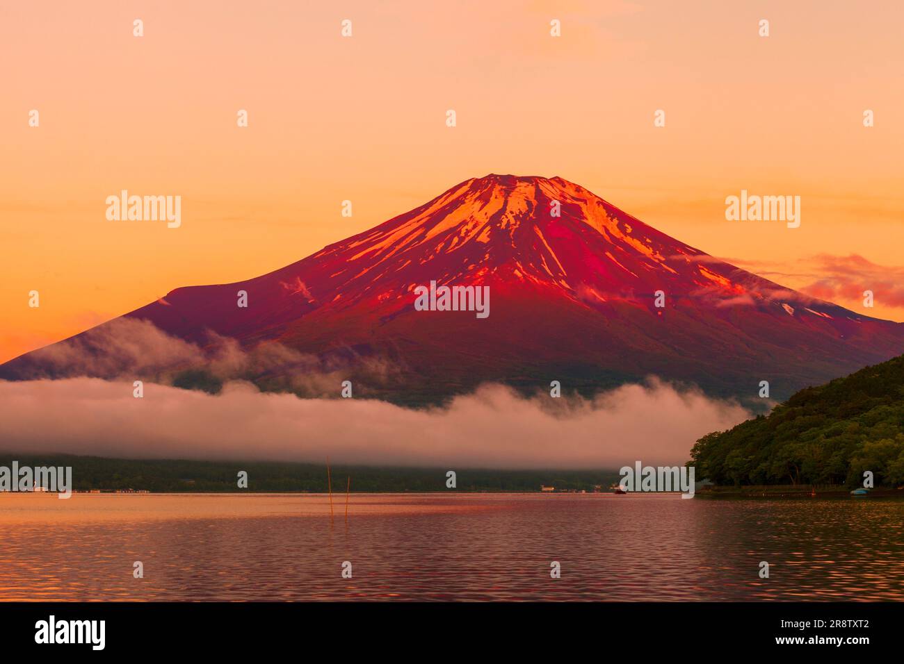 Red Fuji seen from Yamanakako Stock Photo - Alamy