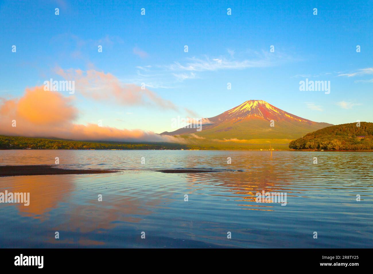 Red Fuji seen from Yamanakako Stock Photo - Alamy