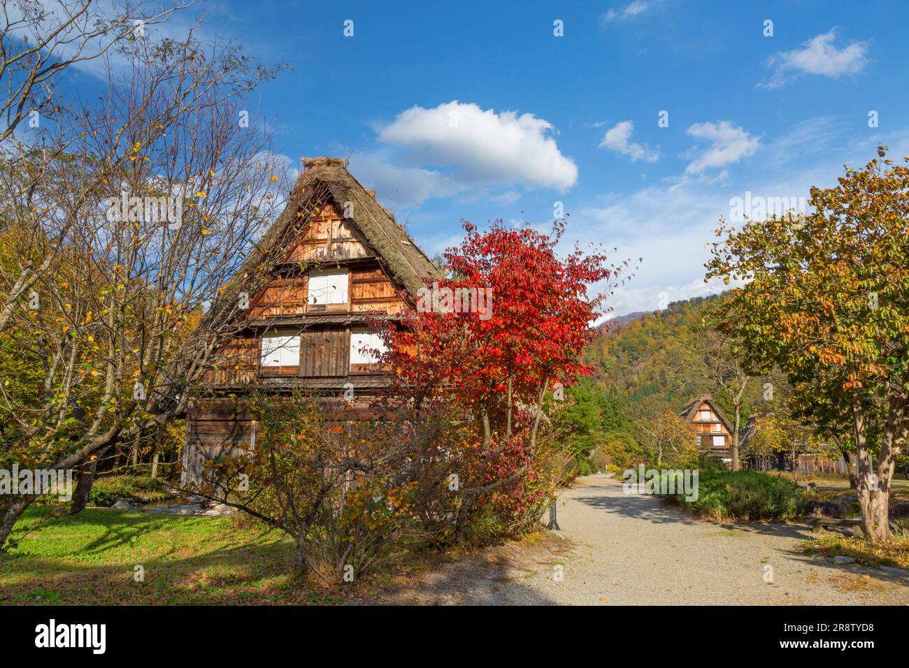 Gassho-Zukuri Minkaen in Shirakawa-go Stock Photo - Alamy