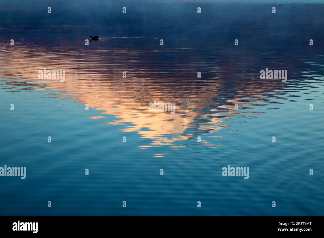 Red Fuji reflected in Lake Yamanaka Stock Photo - Alamy