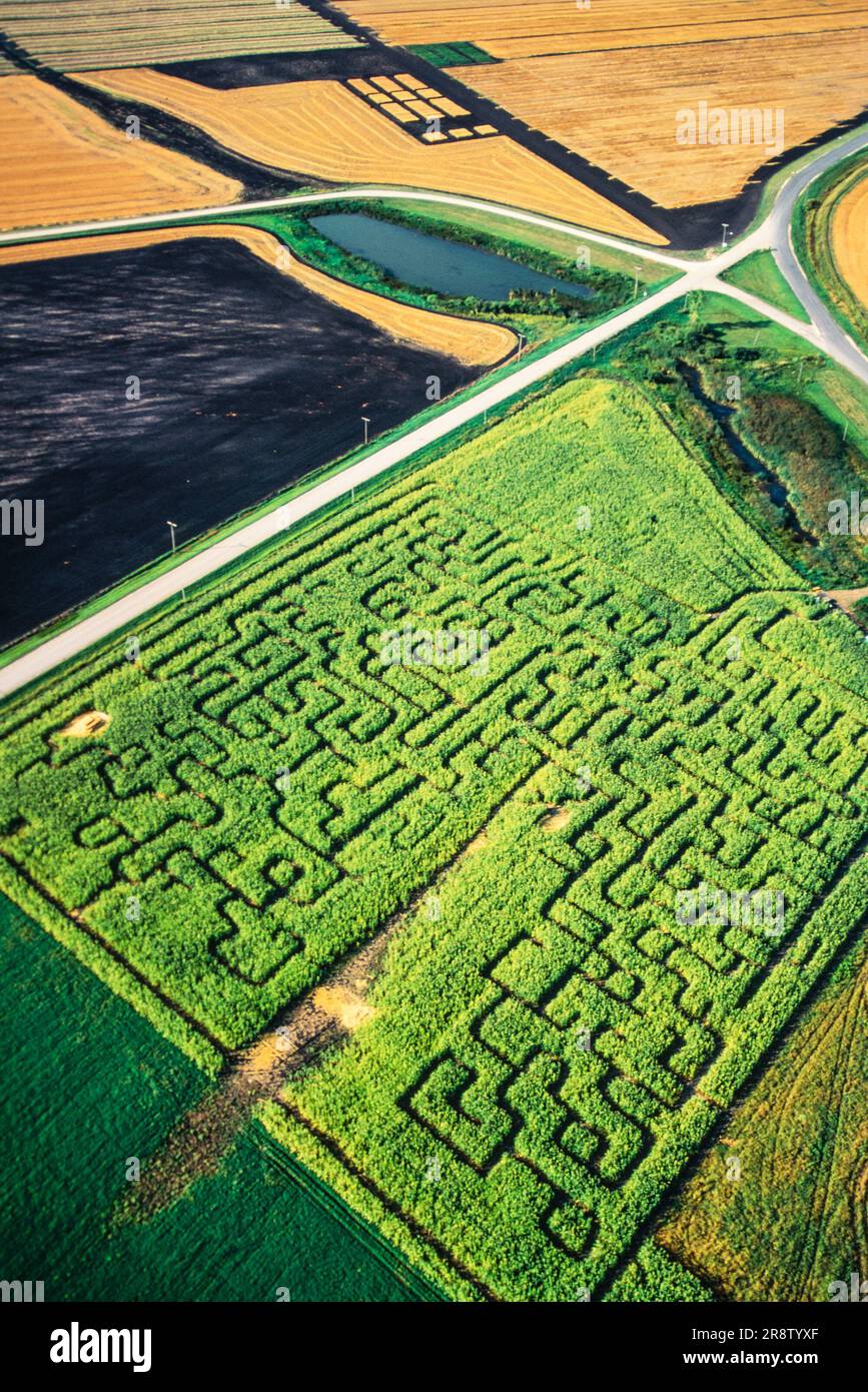 Aerial of corn maze, Manitoba, Canada Stock Photo - Alamy