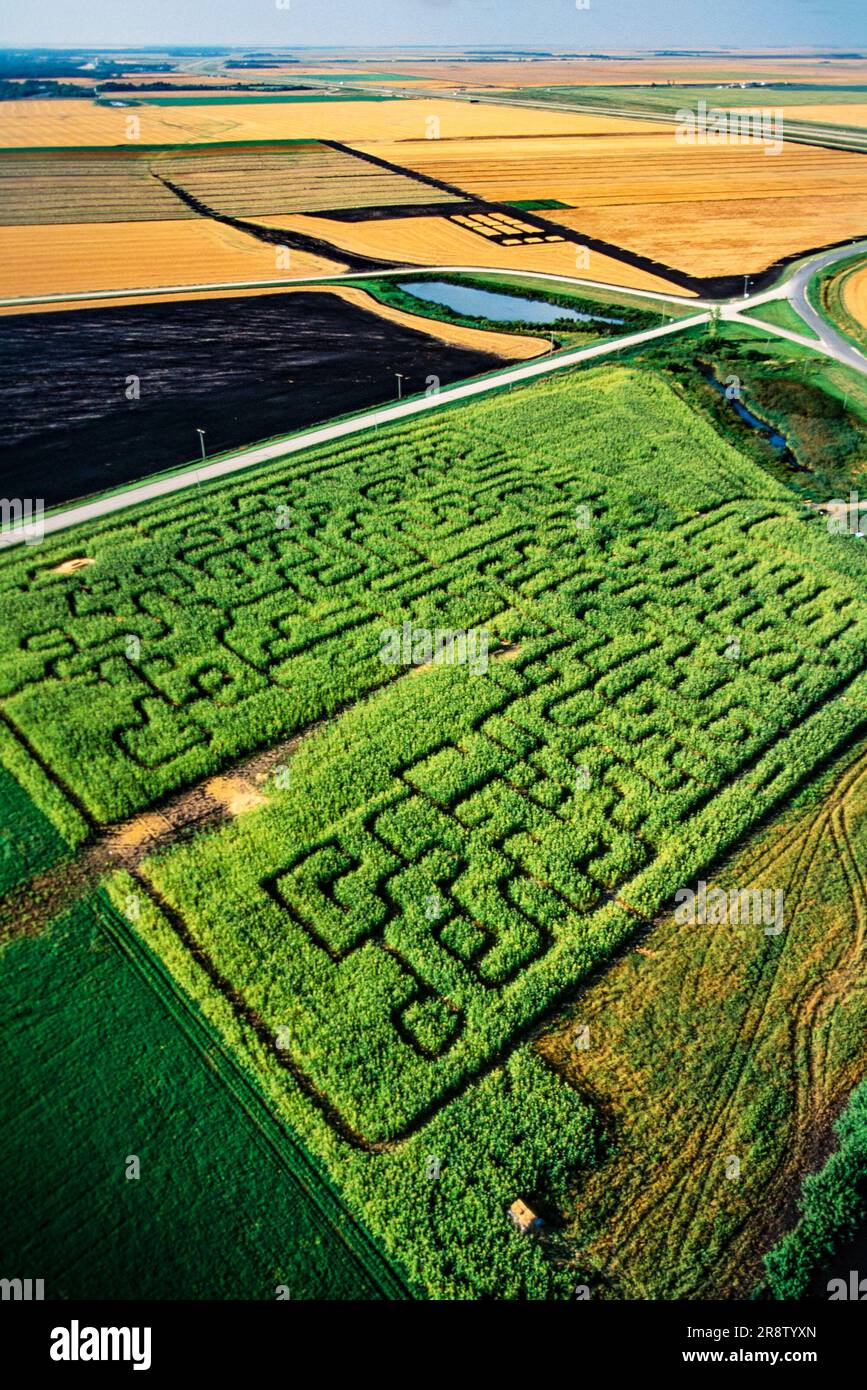 Aerial of corn maze, Manitoba, Canada Stock Photo - Alamy
