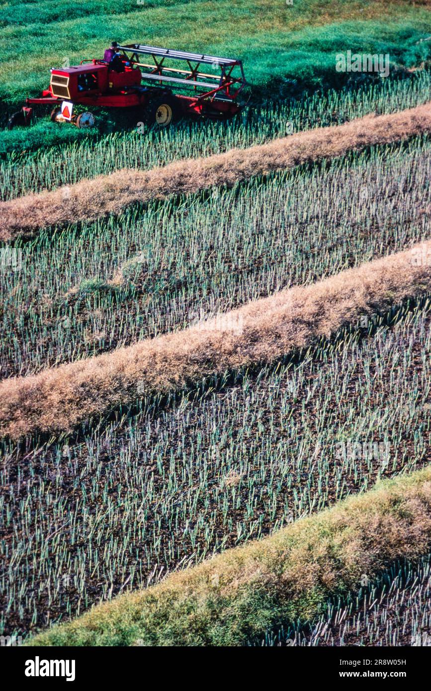 Aerial image of farming in Manitoba, Canada Stock Photo - Alamy
