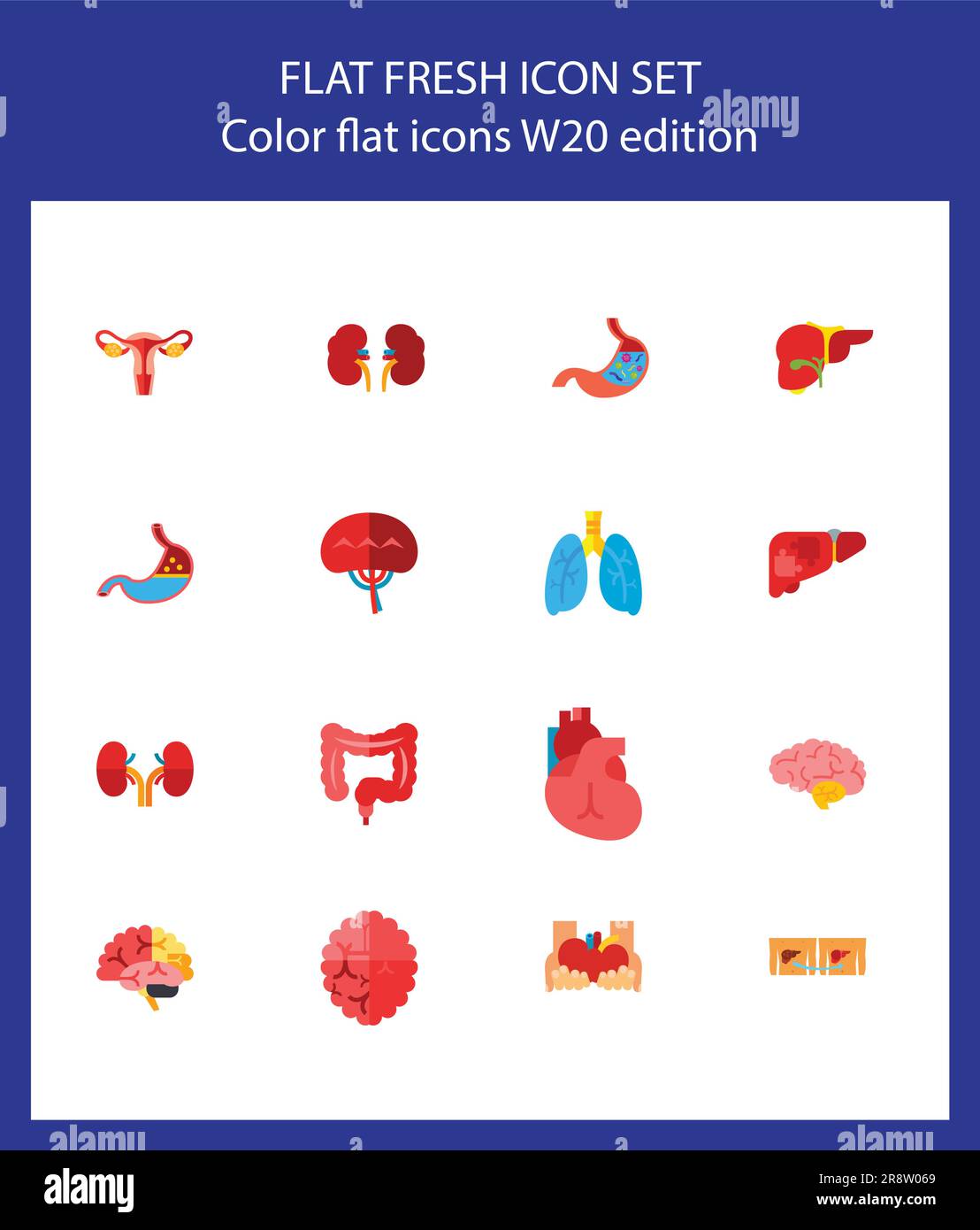 Internal organs icon set Stock Vector Image & Art - Alamy