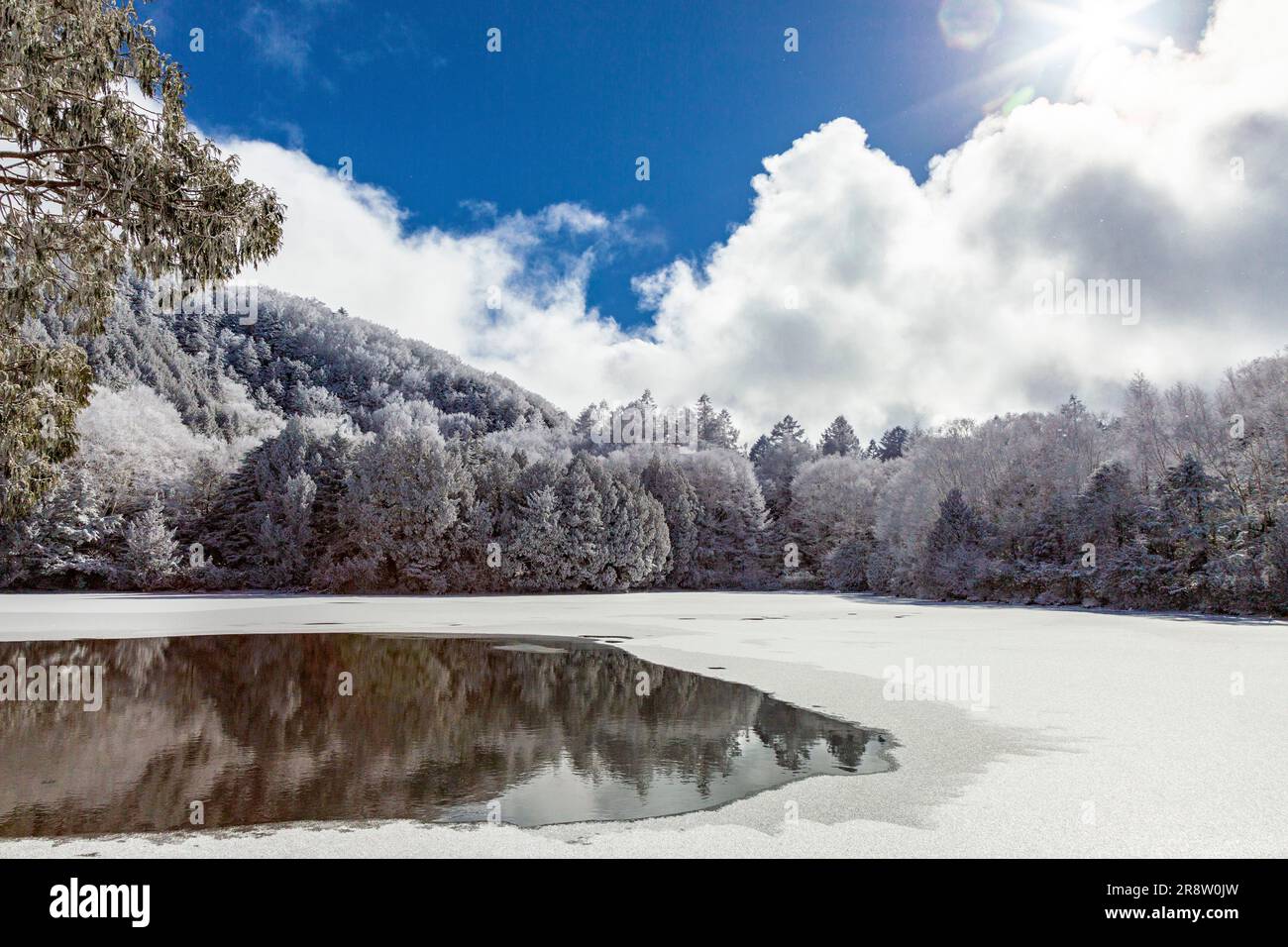 Shiga Kogen in Winter, Snowy Landscape at Triangle Pond Stock Photo - Alamy