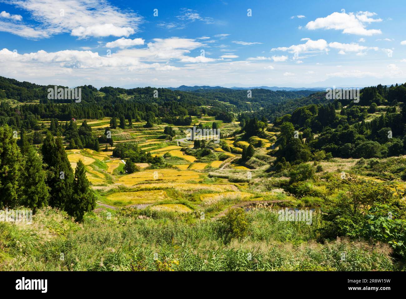 Rice terraces of Hoshitoge Stock Photo - Alamy