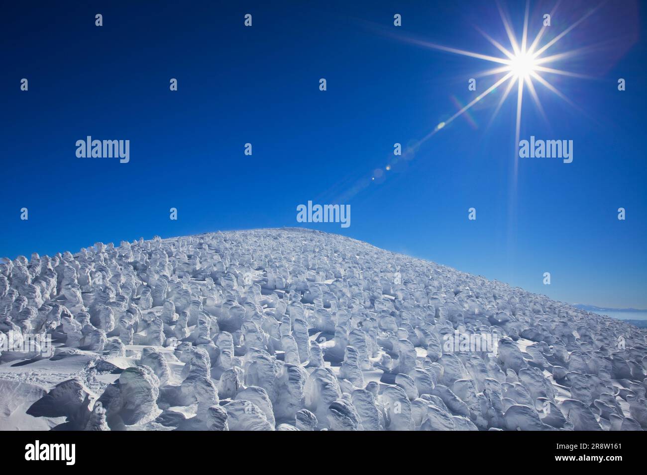 Trees on Mount Zao covered in frost Stock Photo - Alamy
