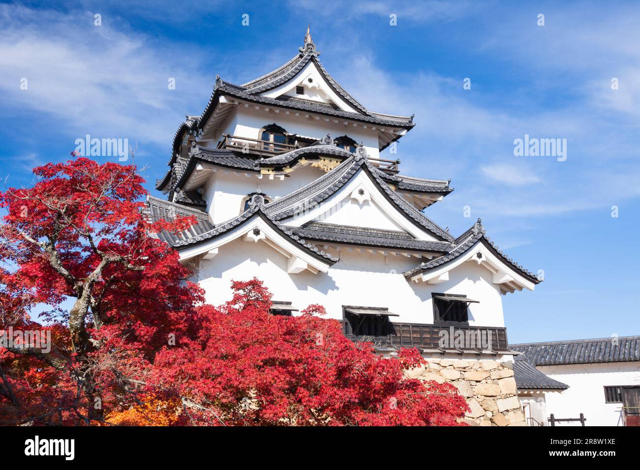 Fall foliage and the Hikone Castle Stock Photo - Alamy