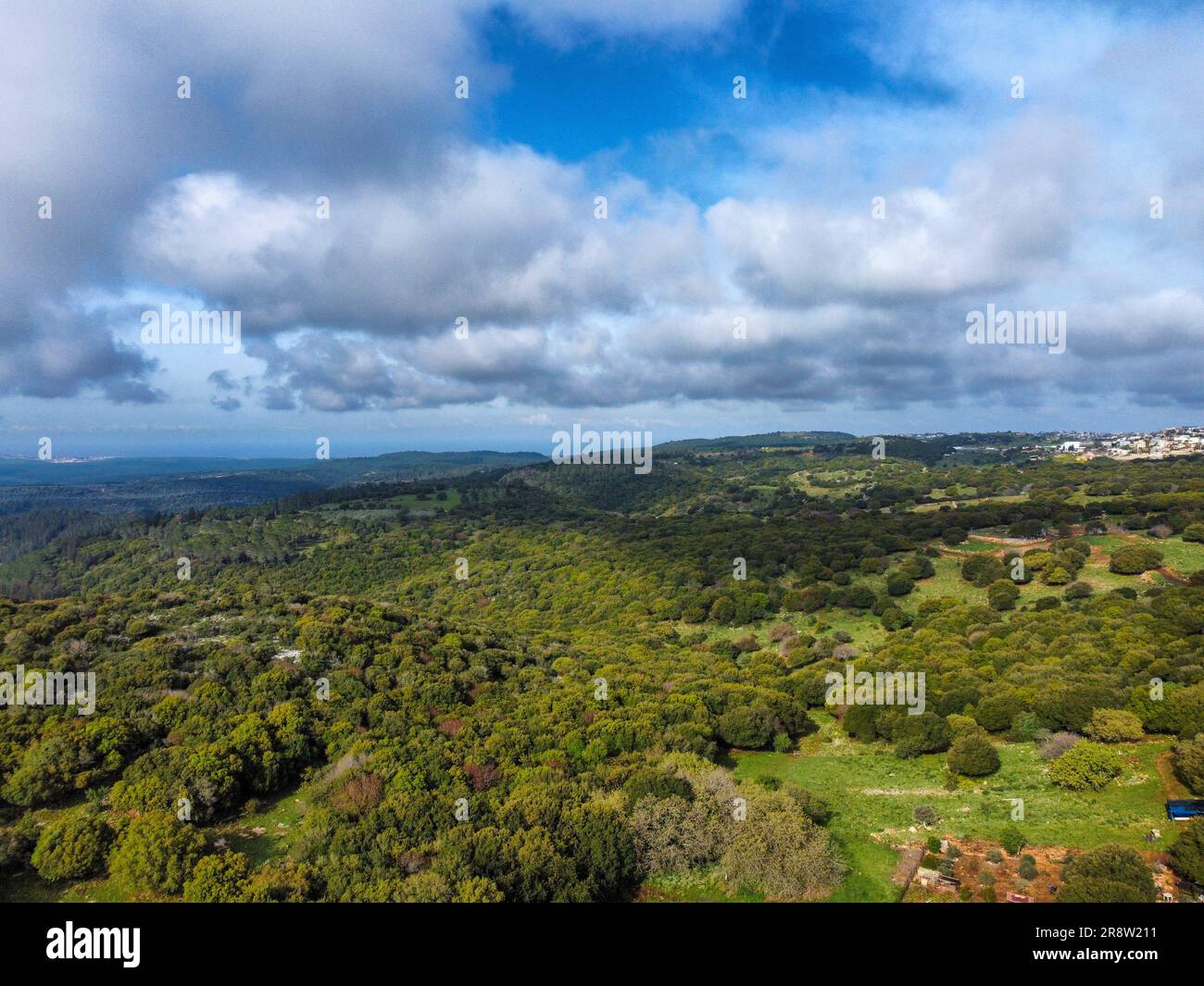 A scenic countryside landscape featuring rolling hills, trees, and ...