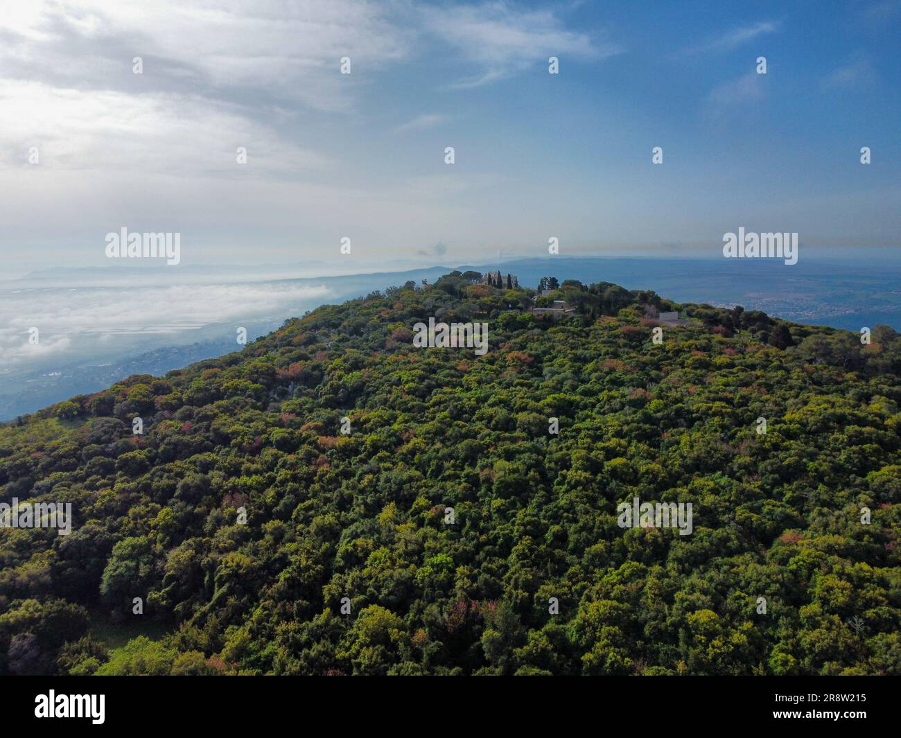 A scenic aerial view of a hilly terrain framed by a dense canopy of ...