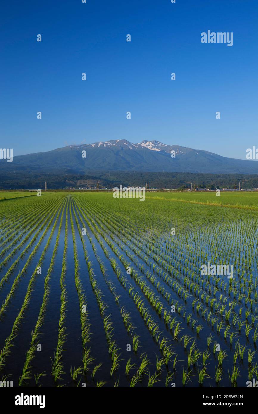 Chokai hi-res stock photography and images - Alamy