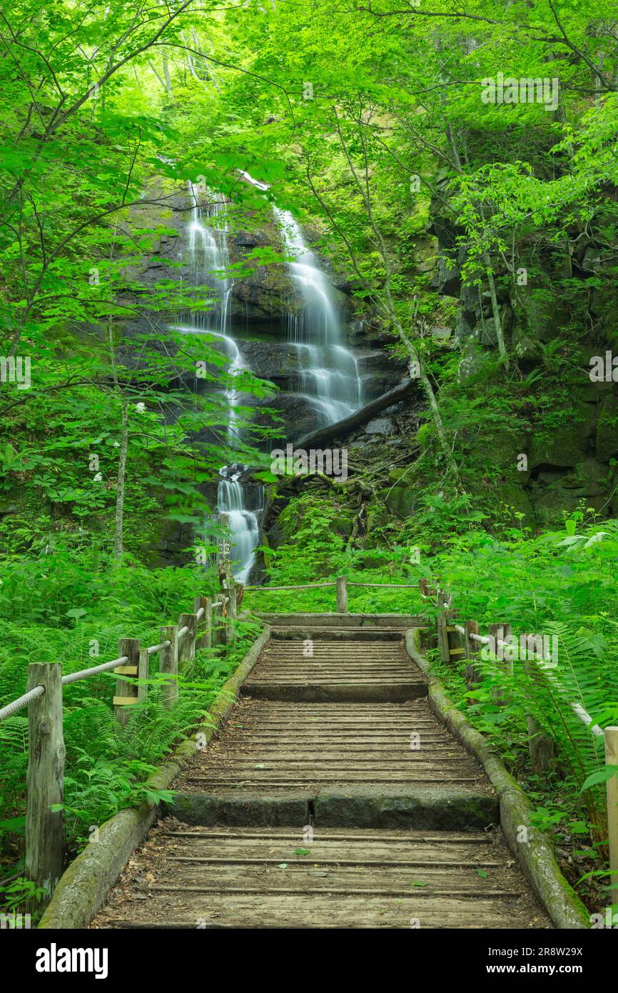 Kudan-no-taki Waterfall of Oirase Keiryu Stock Photo - Alamy