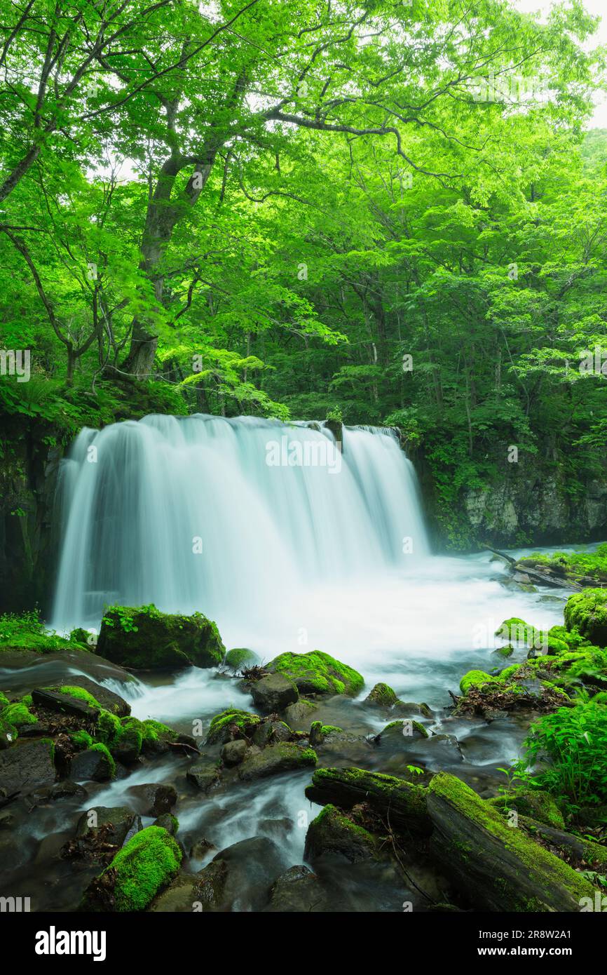 Choshiotaki hi-res stock photography and images - Alamy