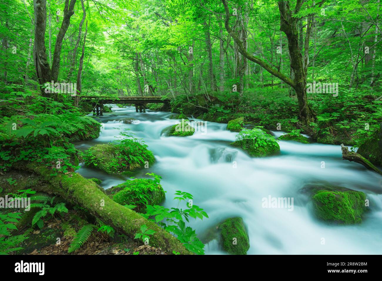 Oirase stream in aomori hi-res stock photography and images - Alamy