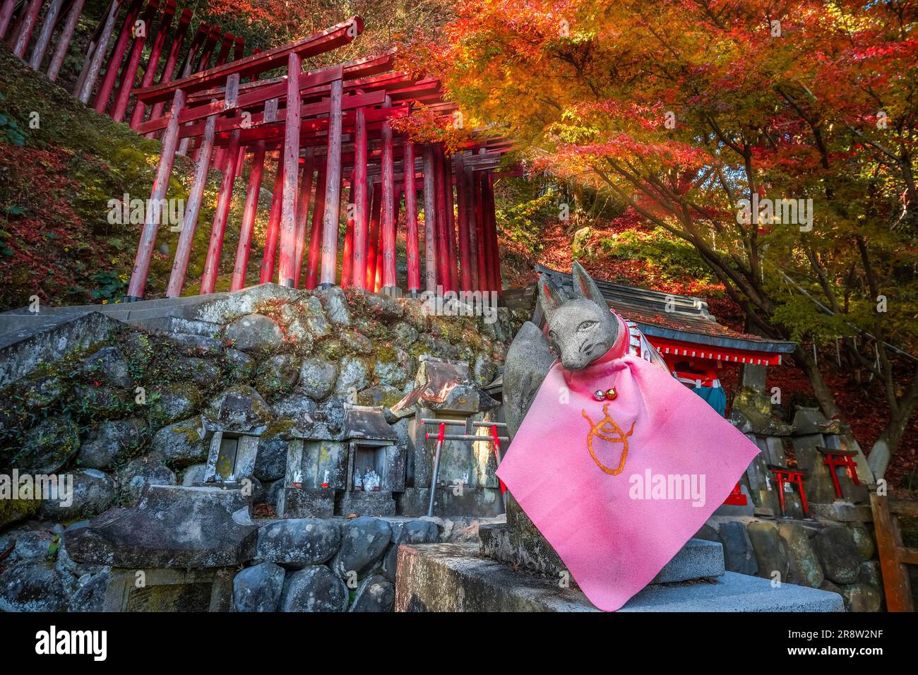 Saga, Japan - Nov 28 2022: Yutoku Inari shrine in Kashima City, Saga ...