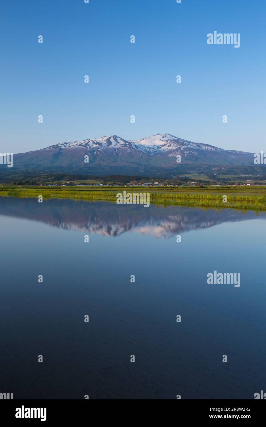 Mount Chokai and paddies Stock Photo - Alamy