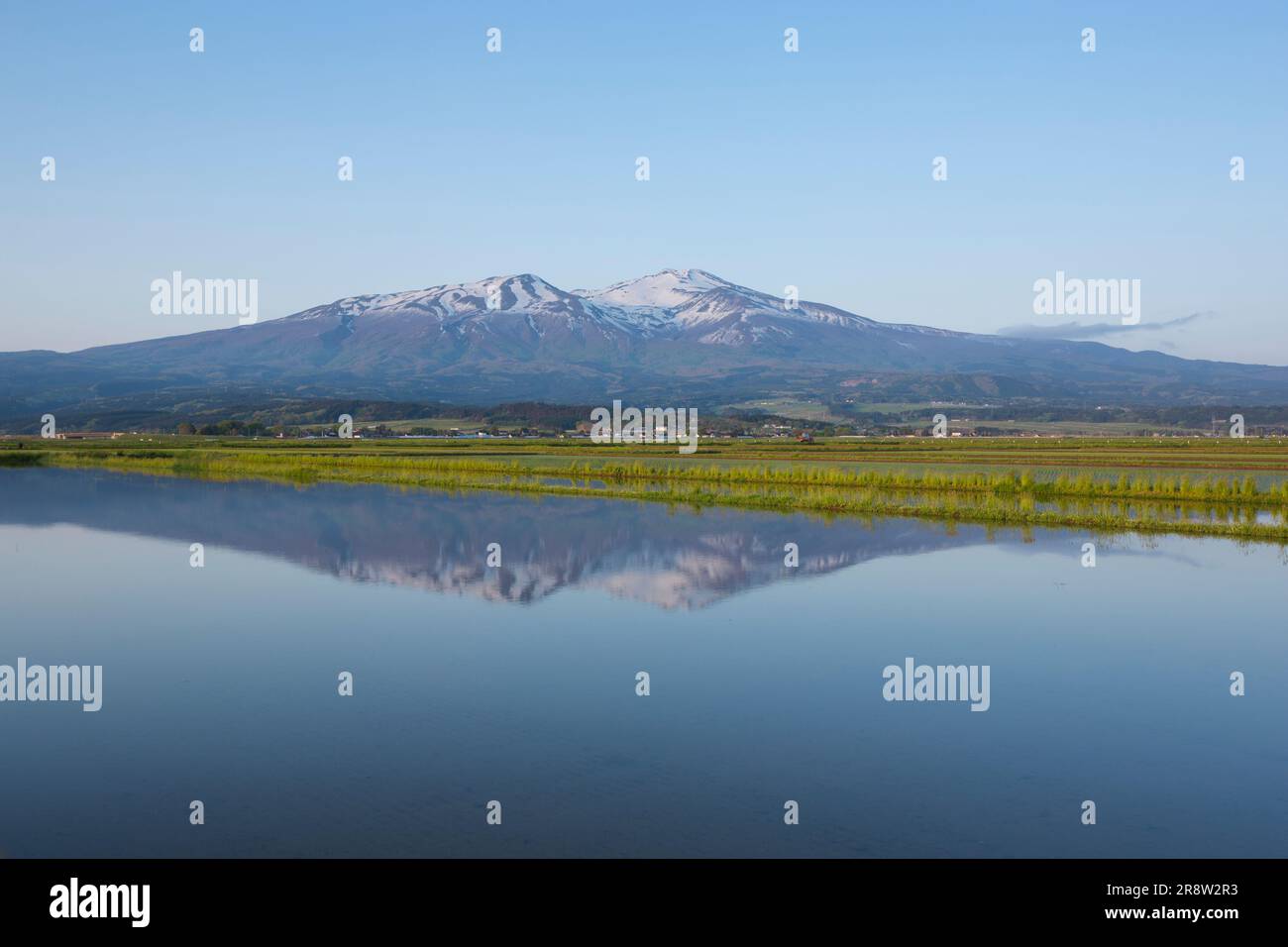 Mount Chokai and paddies Stock Photo - Alamy