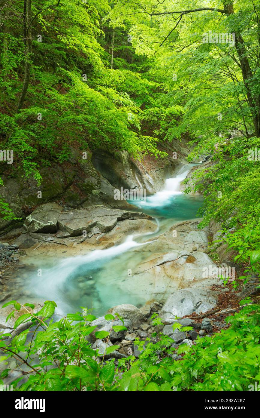 Nishizawa hi-res stock photography and images - Alamy