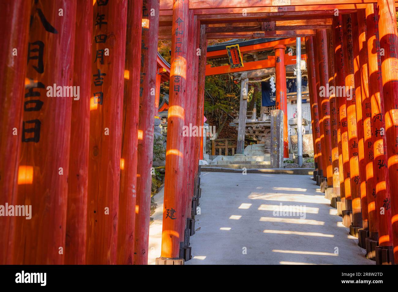 Saga, Japan - Nov 28 2022: Yutoku Inari shrine in Kashima City, Saga ...