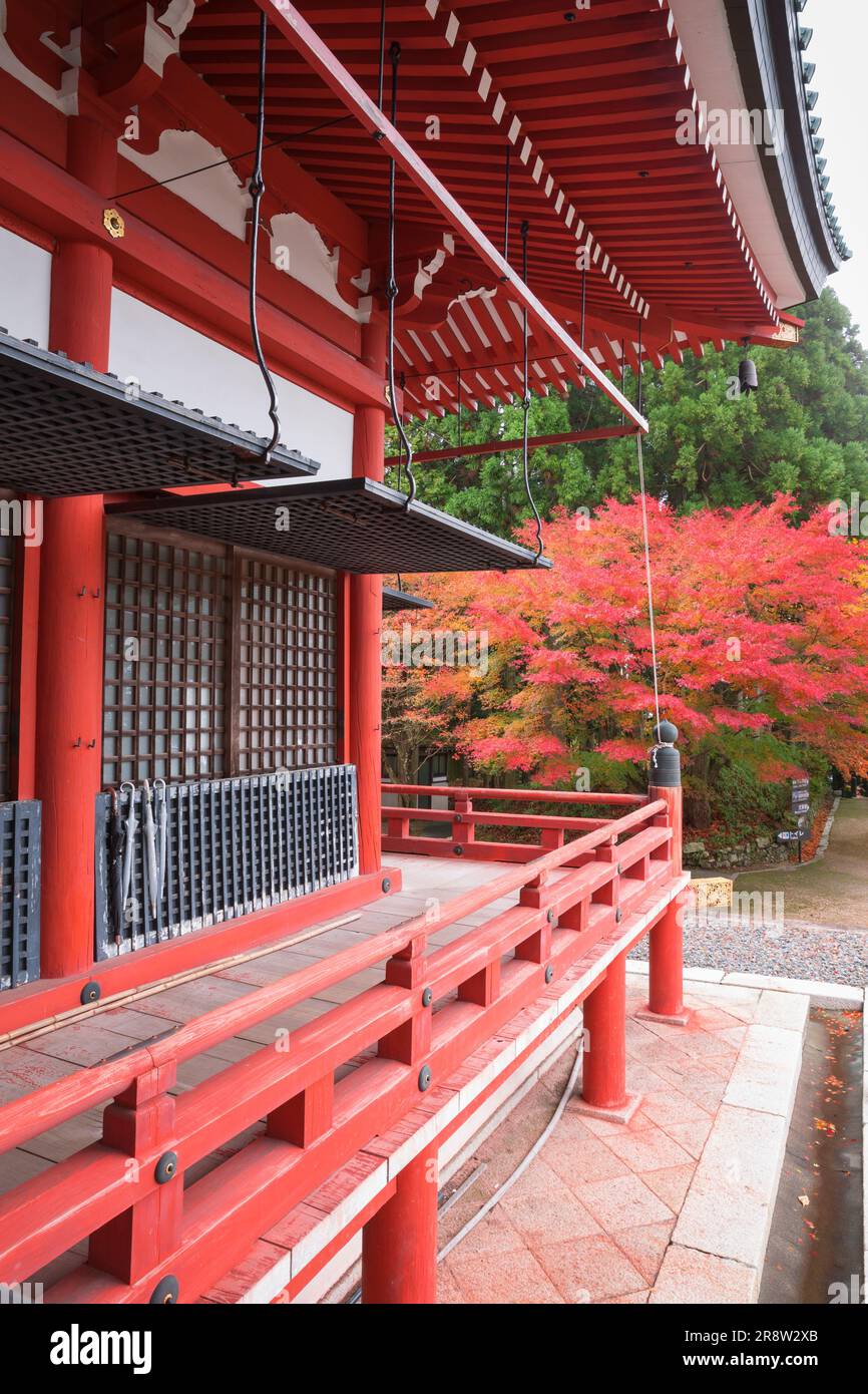 Daikodo at Enryakuji Temple, Mount Hieizan in fall Stock Photo - Alamy