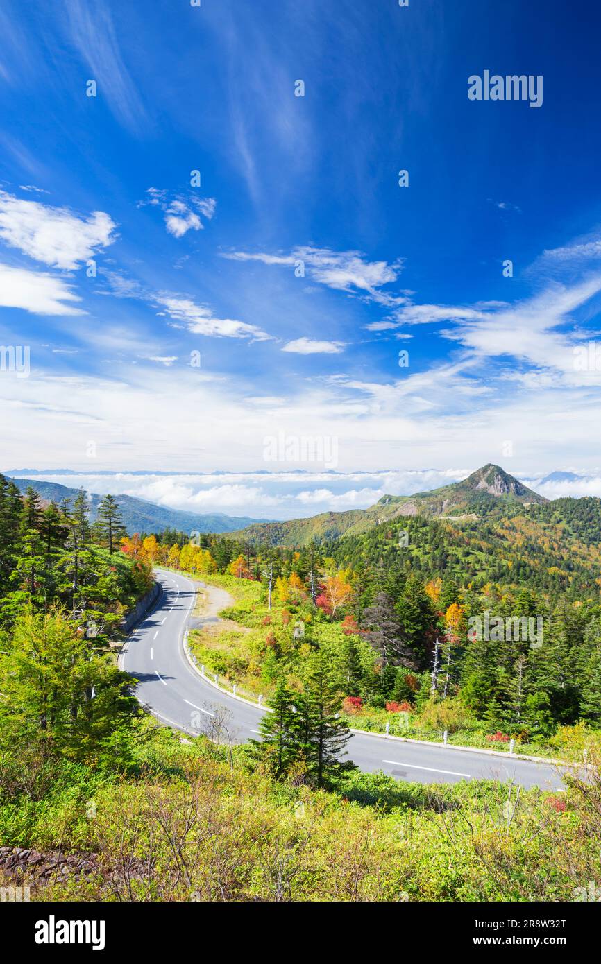 Shigakogen Highlands with autumn colors Stock Photo - Alamy