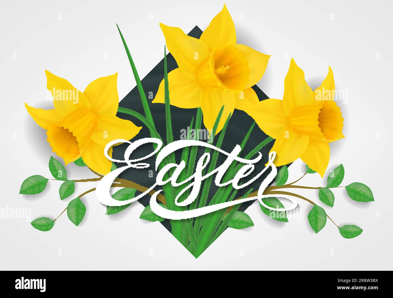 Classic yellow daffodil Stock Vector Images - Alamy