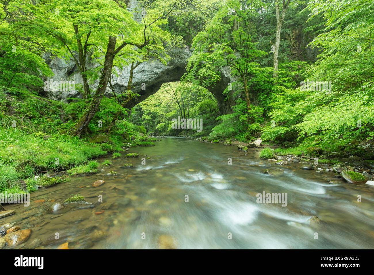 demon Tang Gate in Taishaku Valley Stock Photo - Alamy