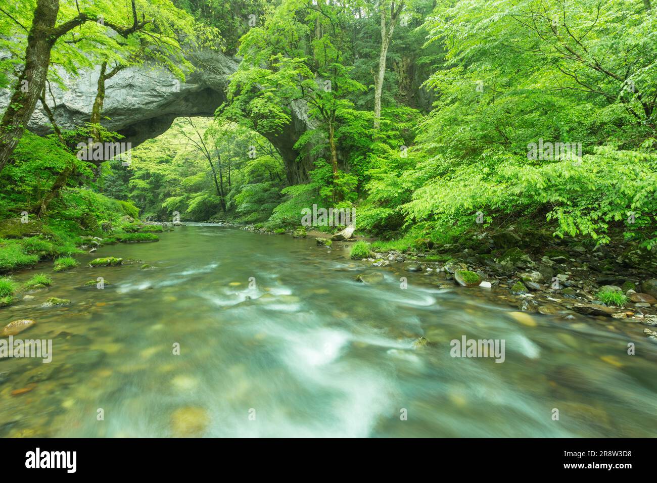 demon Tang Gate in Taishaku Valley Stock Photo - Alamy
