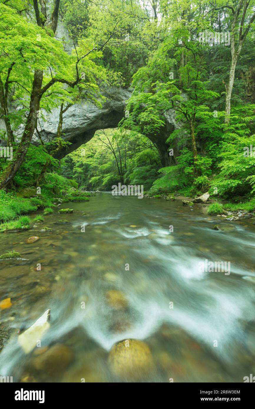 demon Tang Gate in Taishaku Valley Stock Photo - Alamy