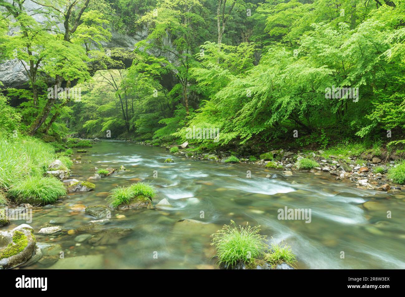 Tang valley hi-res stock photography and images - Alamy