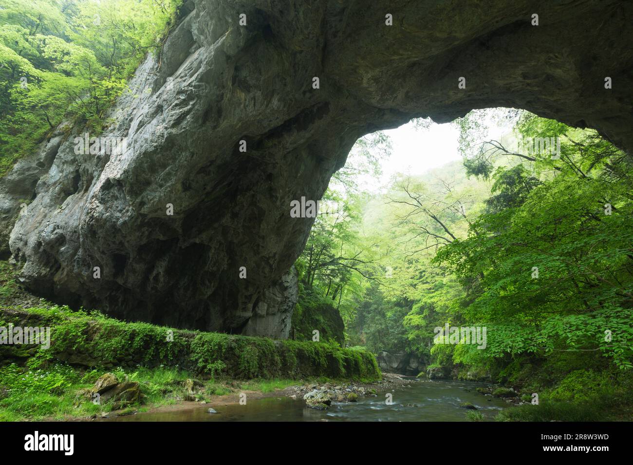 demon Tang Gate in Taishaku Valley Stock Photo - Alamy