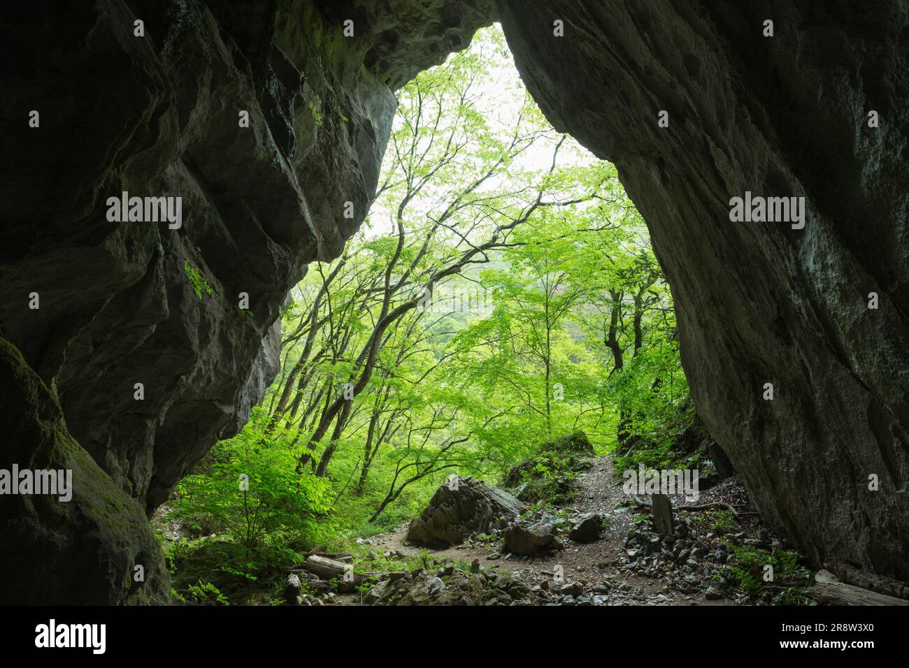 Tang valley hi-res stock photography and images - Alamy
