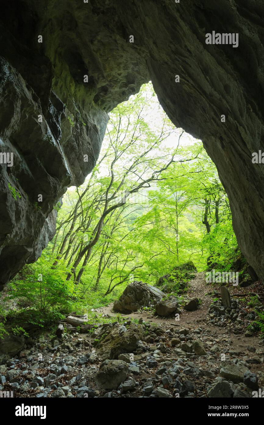 Karamon of demon hi-res stock photography and images - Alamy